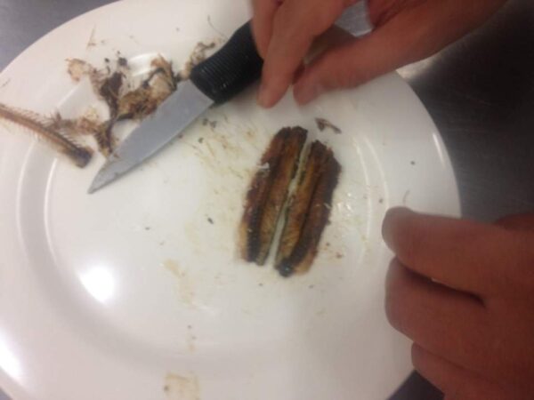 Gourmet in A Bottle: Gourmet Tuyo Recipe -Step by Step Guide ~ Relax ...