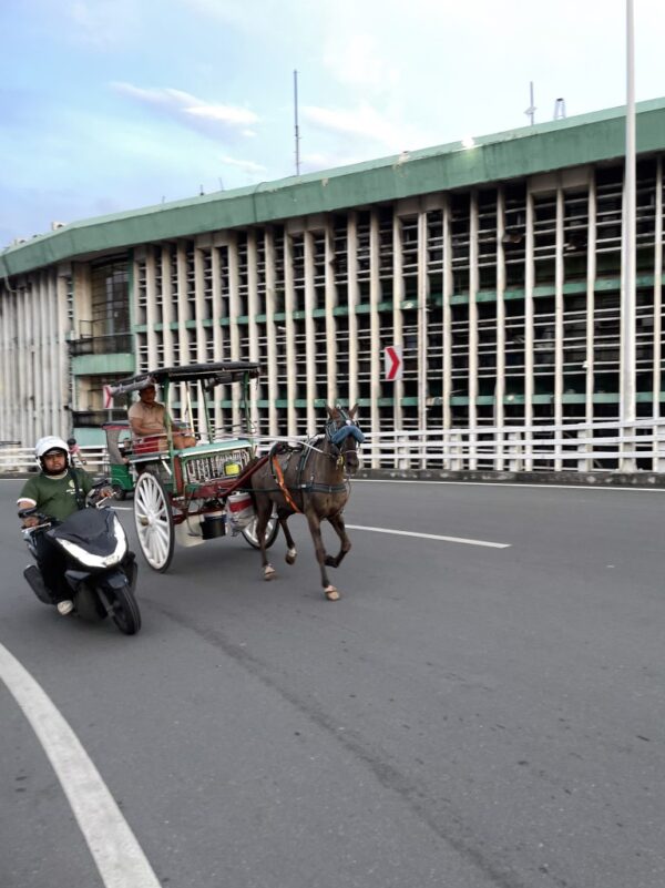 Walking Manila's Green Loop: From Binondo to Intramuros (and Beyond ...